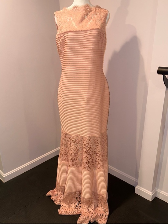 Tadashi Shoji | Dresses | Tadashi Shoji Blush Pink Lacetrim Maxi Gown ...